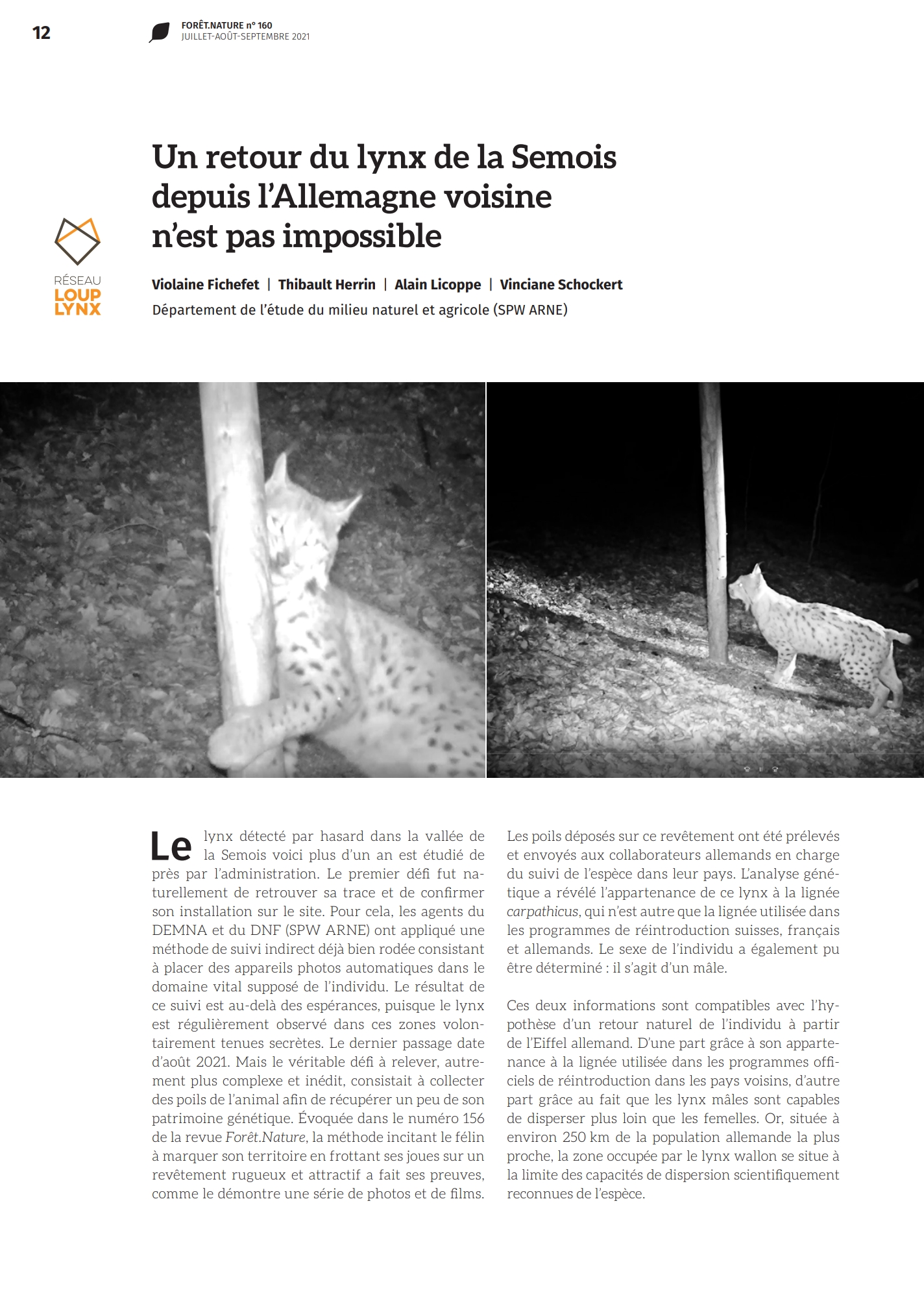 Lynx - La biodiversité en Wallonie