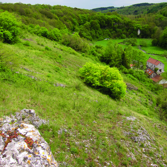 Sites d'intérêt - La biodiversité en Wallonie